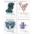 Amazon.com: TRENDYPRINT Harry Potter – Dumbledore Quotes - Set of Four ...