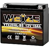 Amazon.com: Yuasa YTX20HL-BS Battery : Automotive