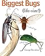 Biggest Bugs Life-Size: George Beccaloni: 9781554076994: Amazon.com: Books