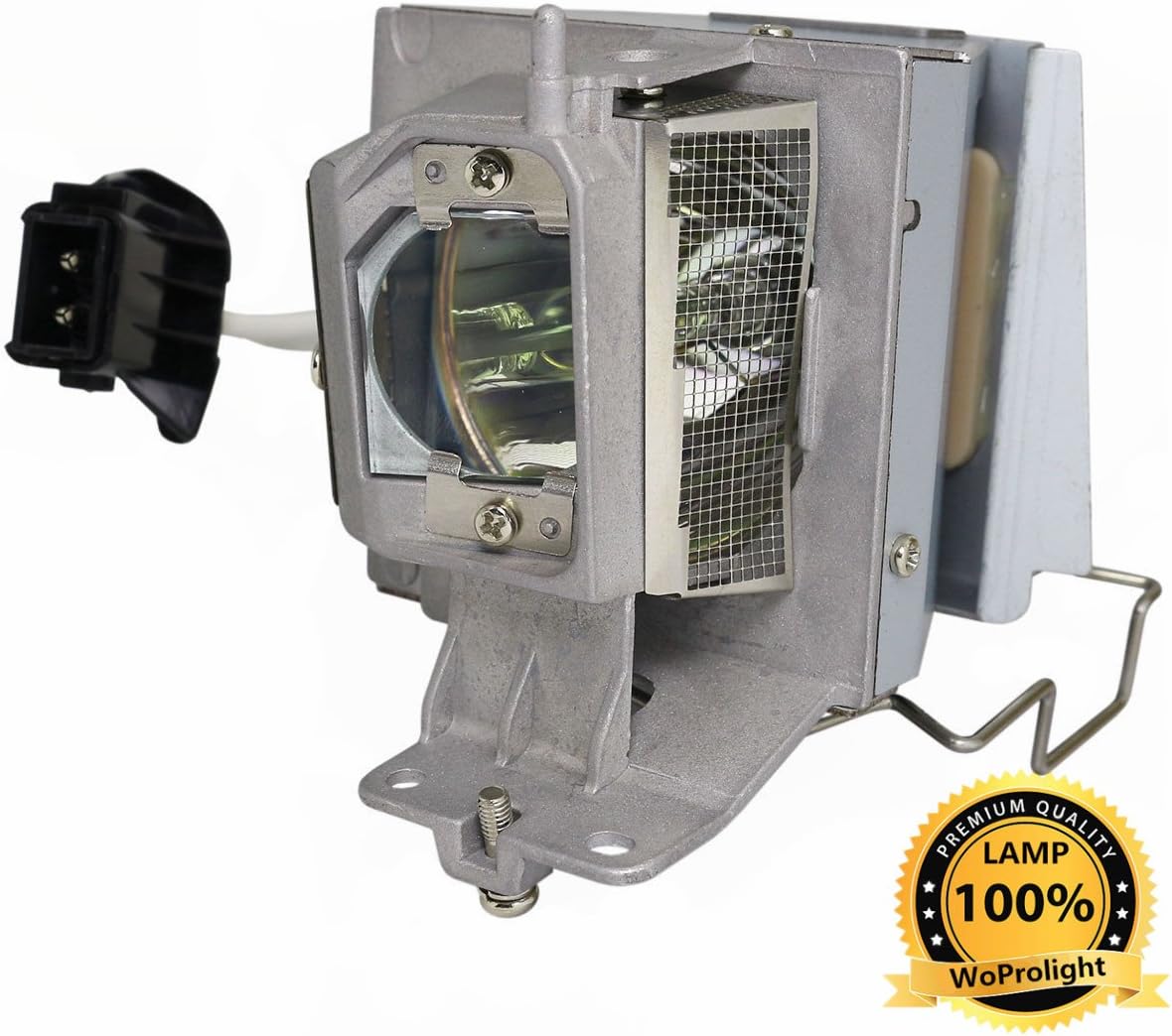 Amazon.com: DLP LCD NEC NP35LP Replacement Lamp Housing for NEC NP ...