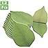 Amazon.com : FURNIZONE Leaf Sticky Notes, Cute Tree Leaf-Shape Paper ...