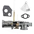 Amazon.com: Dosens Carburetor Compatible with Briggs & Stratton 299437 ...