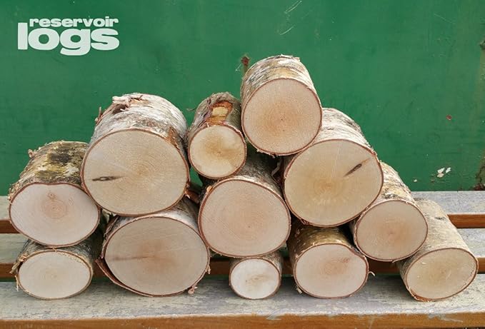 The Little Box of Decorative Birch Logs 12cm Kiln Dried Full Round ...