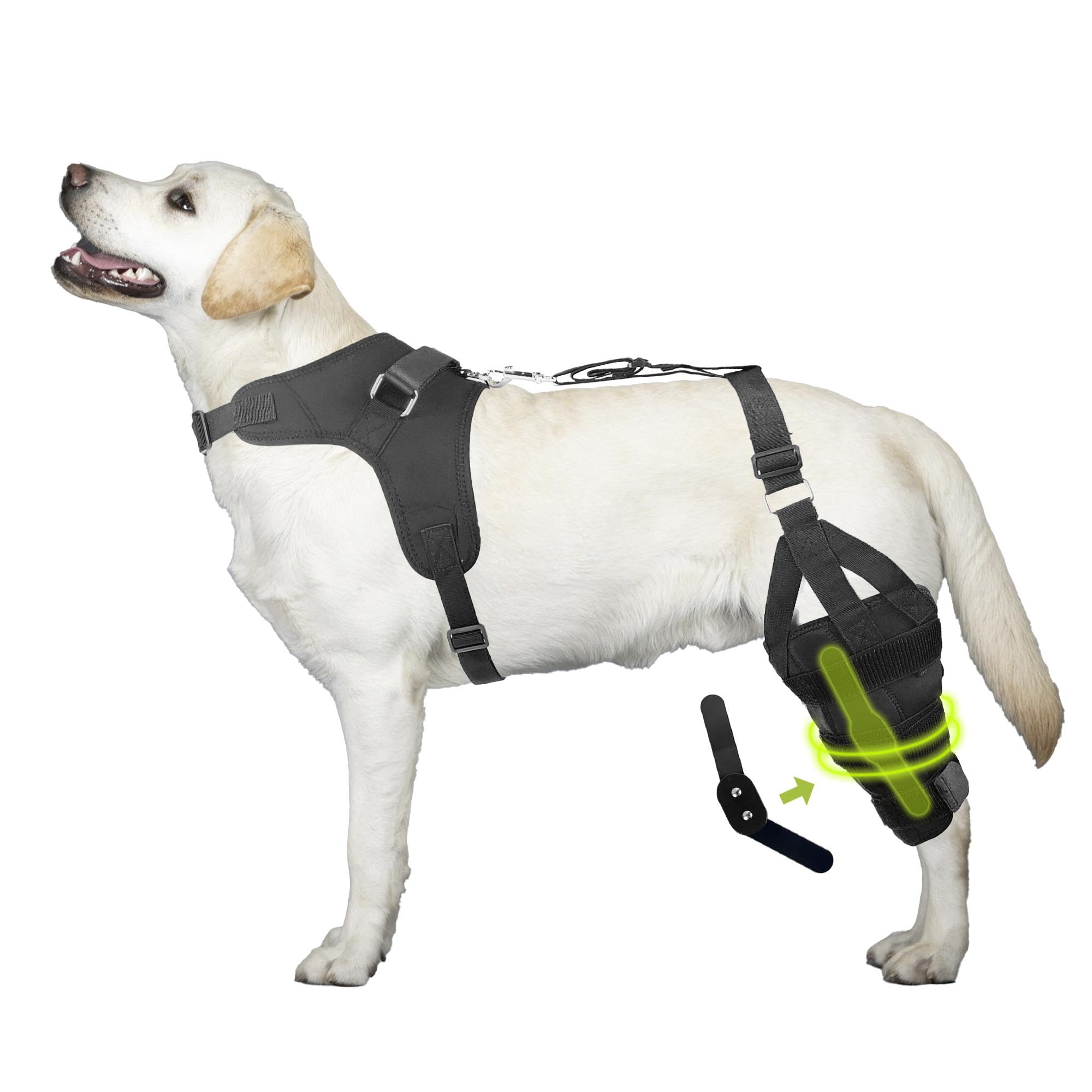 KISFLY Dog Leg Braces for Back Leg Luxating Patella Arthritis Joint ...