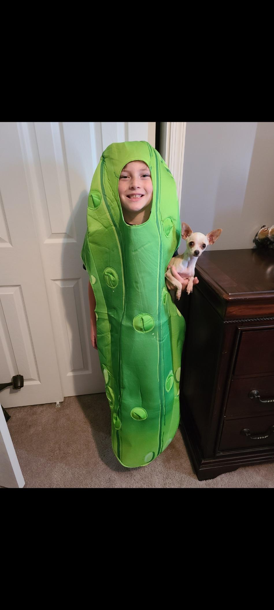 $5/mo - Finance Pickle Jumpsuit Costume for Adult Halloween Trick-or ...