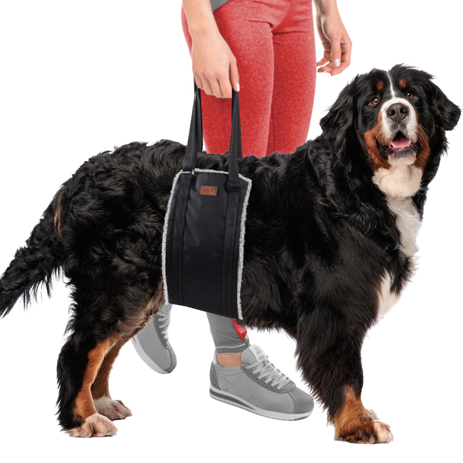 Mua Dog Lift Harness - Dog Sling For Large Dogs Hind Leg Support - Help ...