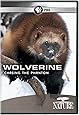 The Wolverine Way: Douglas H. Chadwick: 9780980122749: Amazon.com: Books