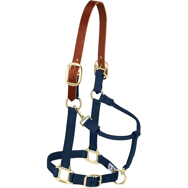 Saddle Cinch Strap Weaver Equine Single Ply Back Cinch - 3 Inch Western ...