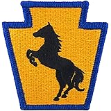Amazon.com: 55th Maneuver Enhancement Brigade OCP Patch: Clothing