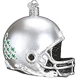 Amazon.com: Old World Christmas Ornaments: Florida State Glass Blown ...