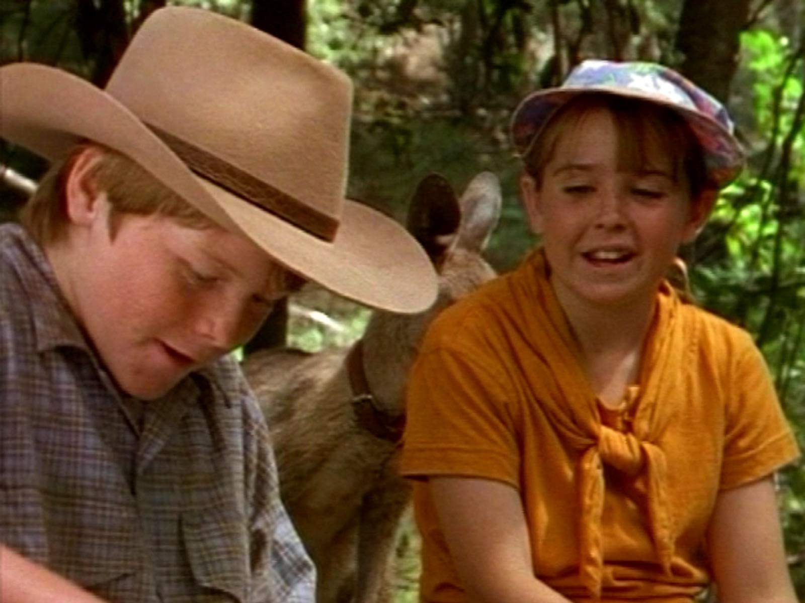 Watch The Adventures of Skippy | Prime Video