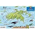 St. John USVI Dive Map Fish ID Virgin Islands Franko Maps Waterproof ...