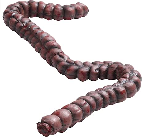 Amazon.com: Forum Novelties Zombie Bloody Intestines Prop Decor, Red ...