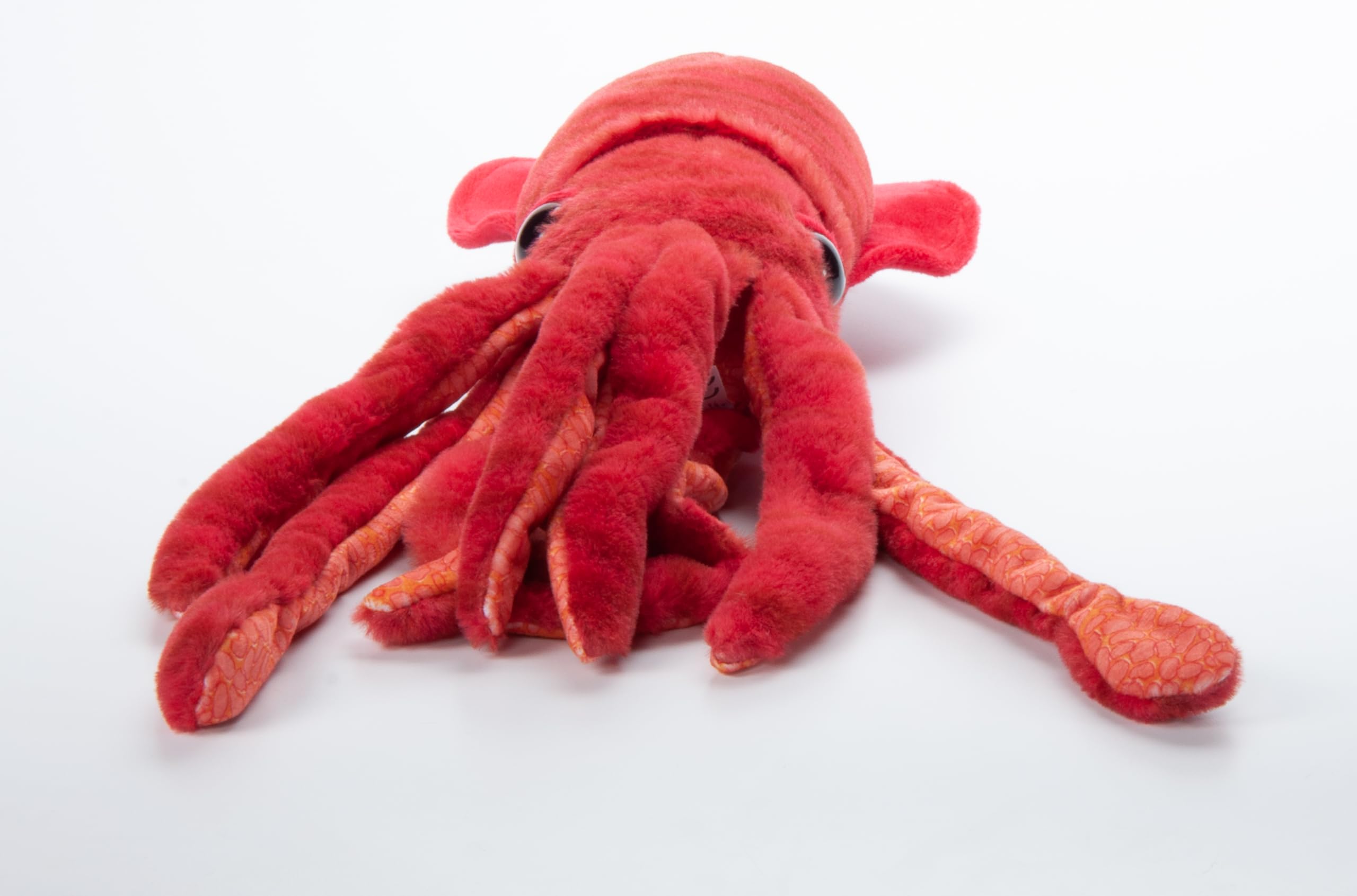 Mua The Petting Zoo Squid Stuffed Animal Plushie, Gifts for Kids, Wild ...