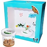 Amazon.com: Nature Gifts Live Butterfly Kit - School-Sized Educational ...