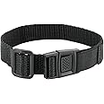 Pet Supplies : PetSafe Collar Strap for Cats – Replacement Collar Strap ...