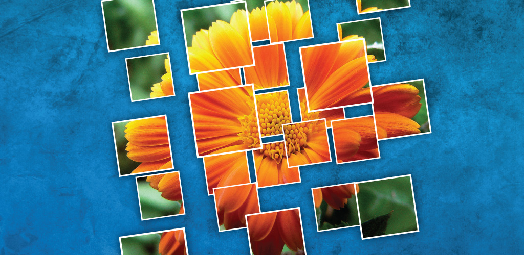Amazon.com: 1 Pic 1 Word: Mosaic : Apps & Games