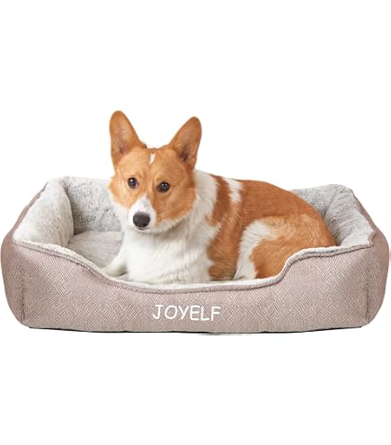 Memory Foam Dog Bed Kong