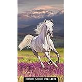 DaySpring - Psalms Pink Floral 2024 – 2025 Planner - 28-Month - 2 Year ...