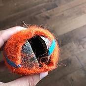 Chuckit! Classic 26M Launcher (Colors Vary): Amazon.ca: Pet Supplies