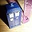 Doctor Who: Light-Up Tardis Kit: Amazon.ca: Richard Dinnick: Books