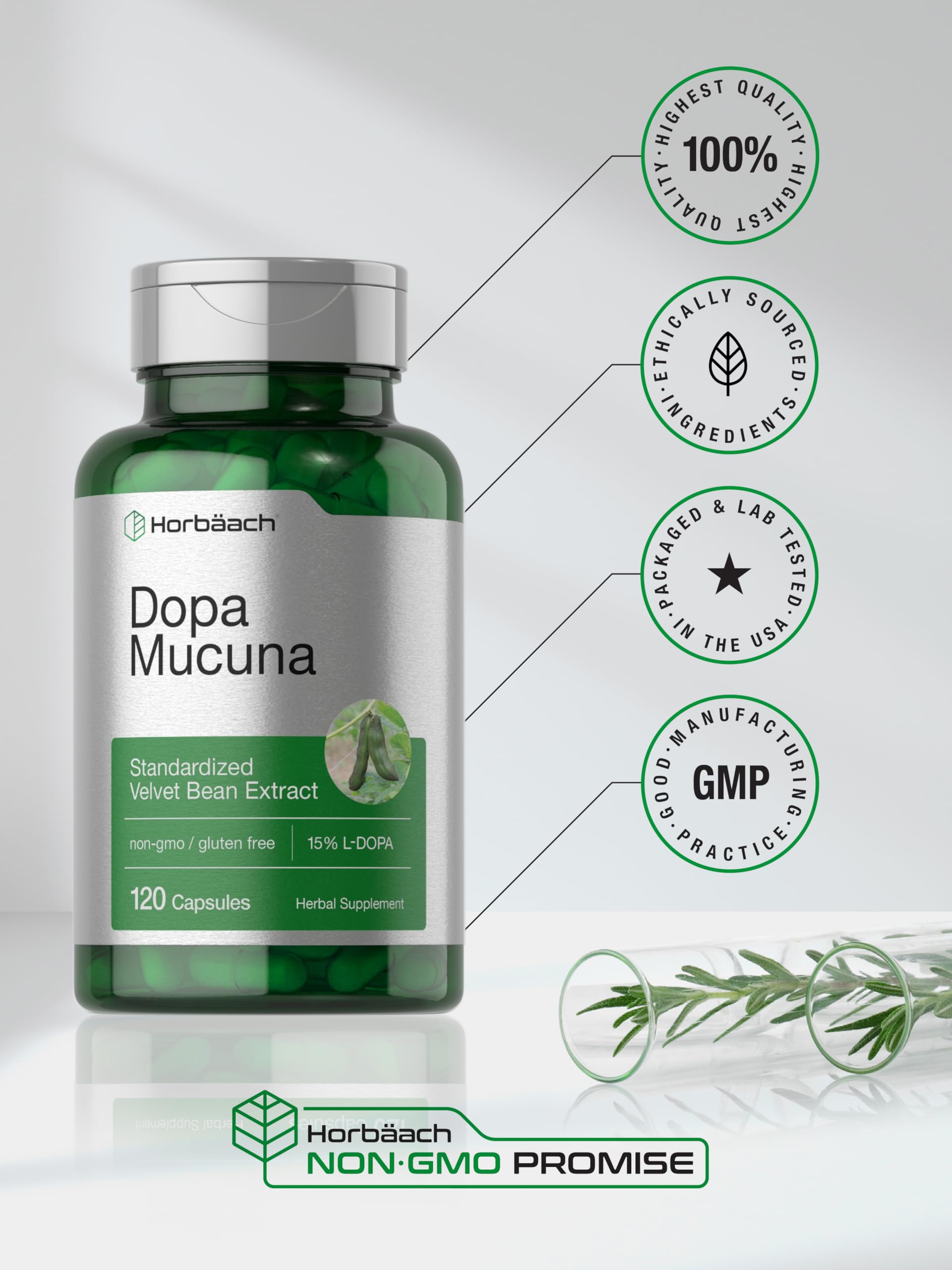 Mua Horbäach Dopa Mucuna Supplement | 120 Capsules | Velvet Bean Herbal ...