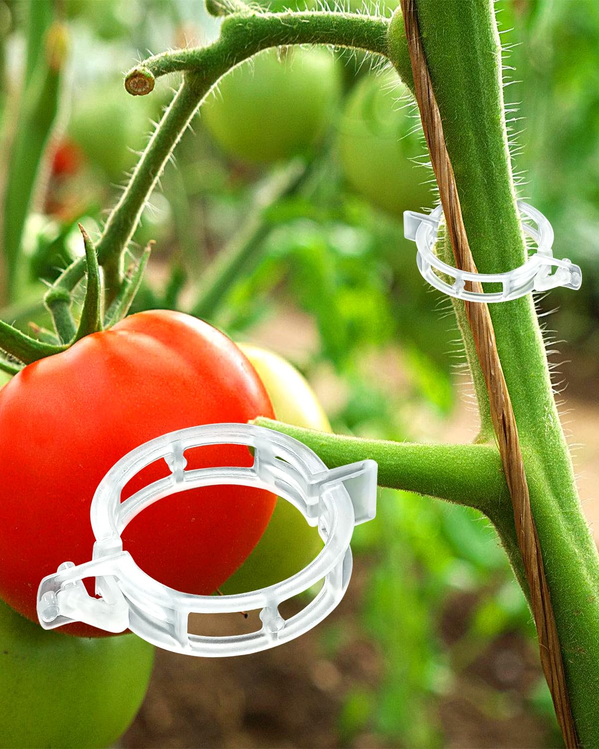 Lzerking Tomato Clips Plant Clips for Support, String Trellis, Garden ...
