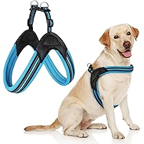 Xtra Dog Water-Repelling Walking Harness Xtra Dog: Soft,