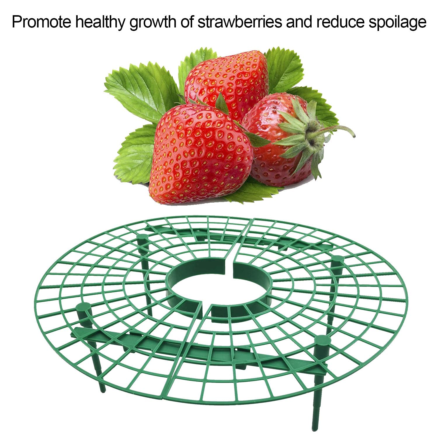 Mua 5 Pack Strawberry Plant Support - Strawberry Growing Racks with 4 ...