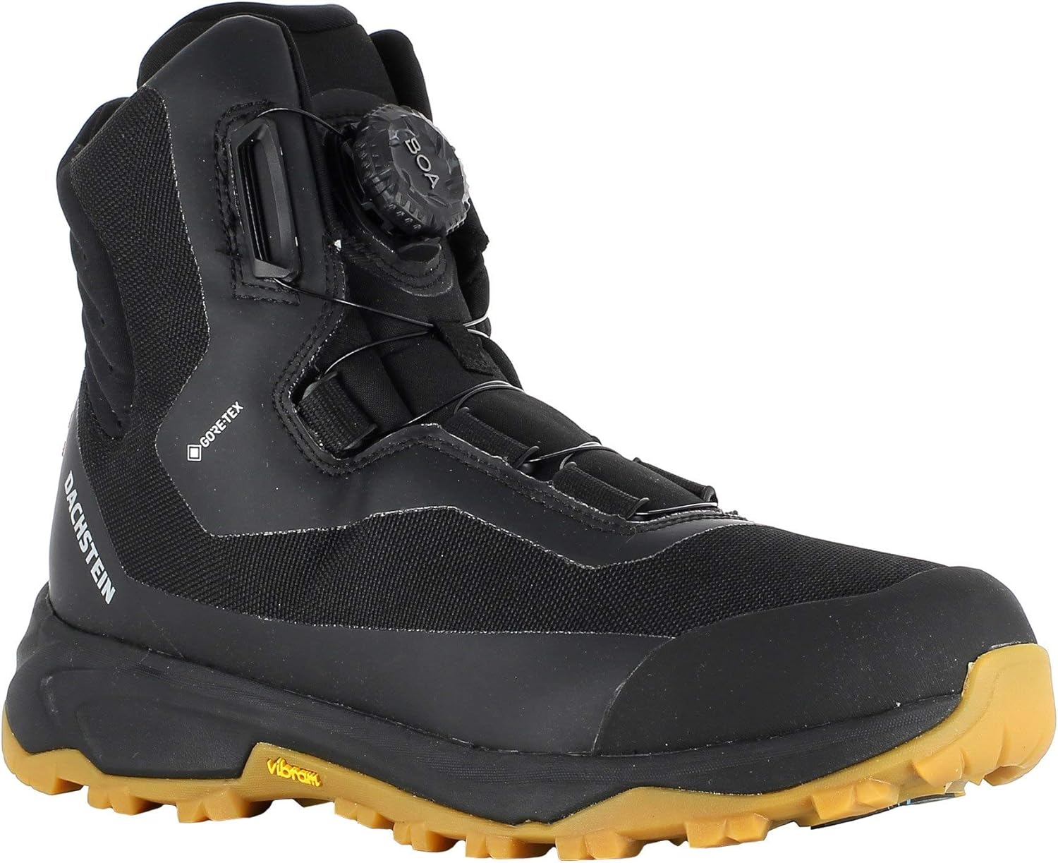 Dachstein Artic Boa GTX WMN wasserdichte Damen Winterschuhe ...