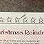The Wild Christmas Reindeer: Jan Brett: 9780399221927: Amazon.com: Books