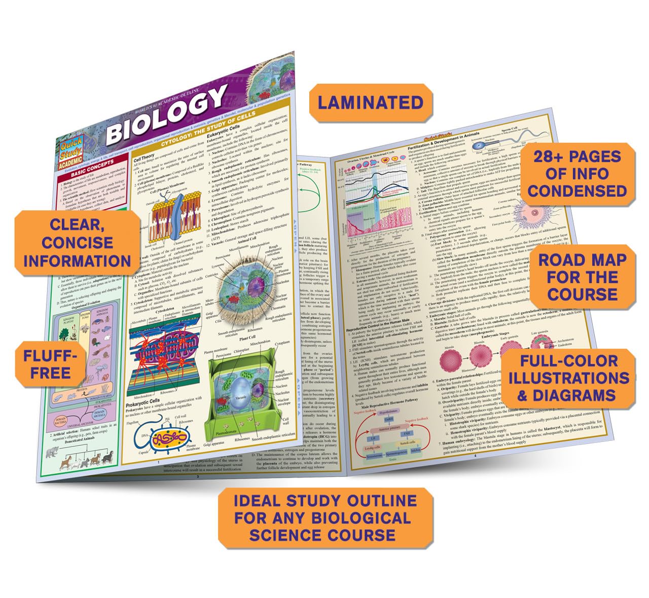 Mua Biology: a QuickStudy Laminated Reference Guide (QuickStudy ...