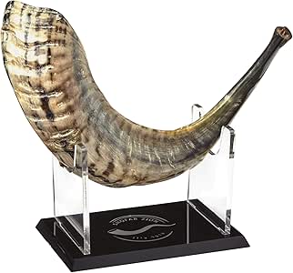 Amazon.com: Shofar Stand | Shofar Display | Modern Look Clear And Black ...