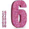 Amazon.com : Eploger 10 Inch Pink Glitter Number Sign 6 Birthday ...