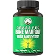 Amazon.com: Grass Fed Bone Marrow - Whole Bone Extract Supplement 180 ...