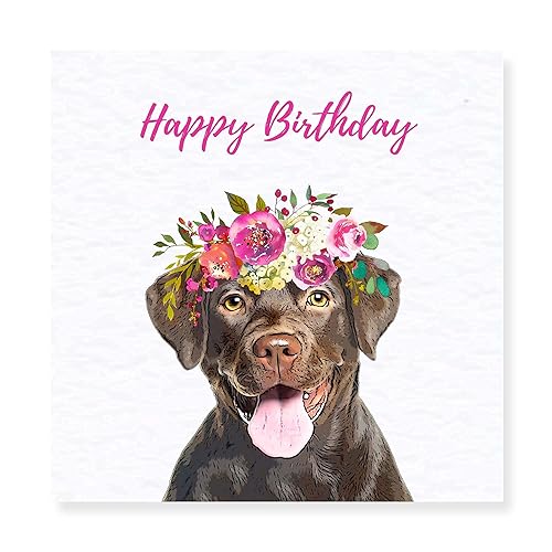 Chocolate Labrador Birthday Card - Cute Labrador Retriever Greeting ...