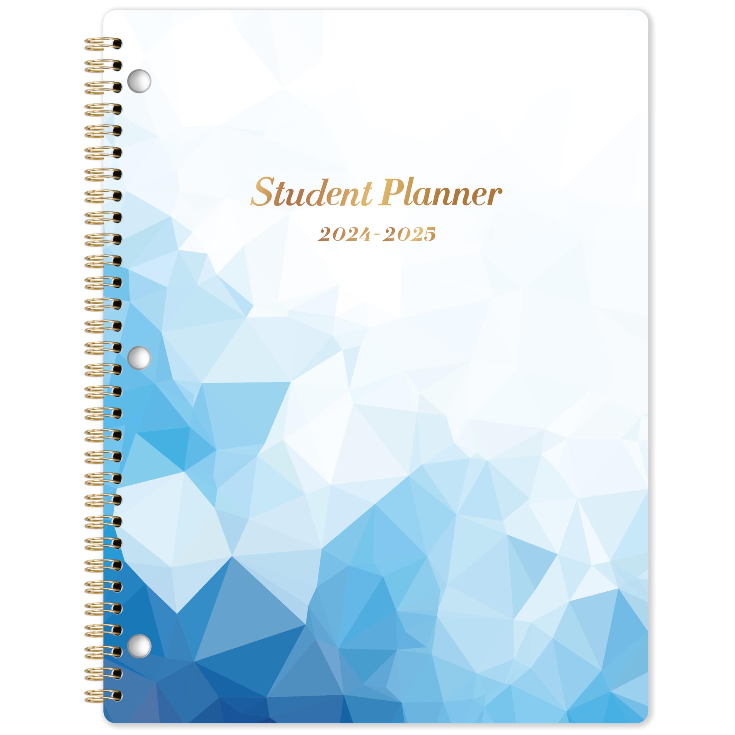 Mua Student Planner 2024-2025 - Monthly and Weekly School Planner 2024 ...