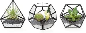 Amazon.com: Mkono 4'' Mini Glass Geometric Terrarium Container Set of 3 ...
