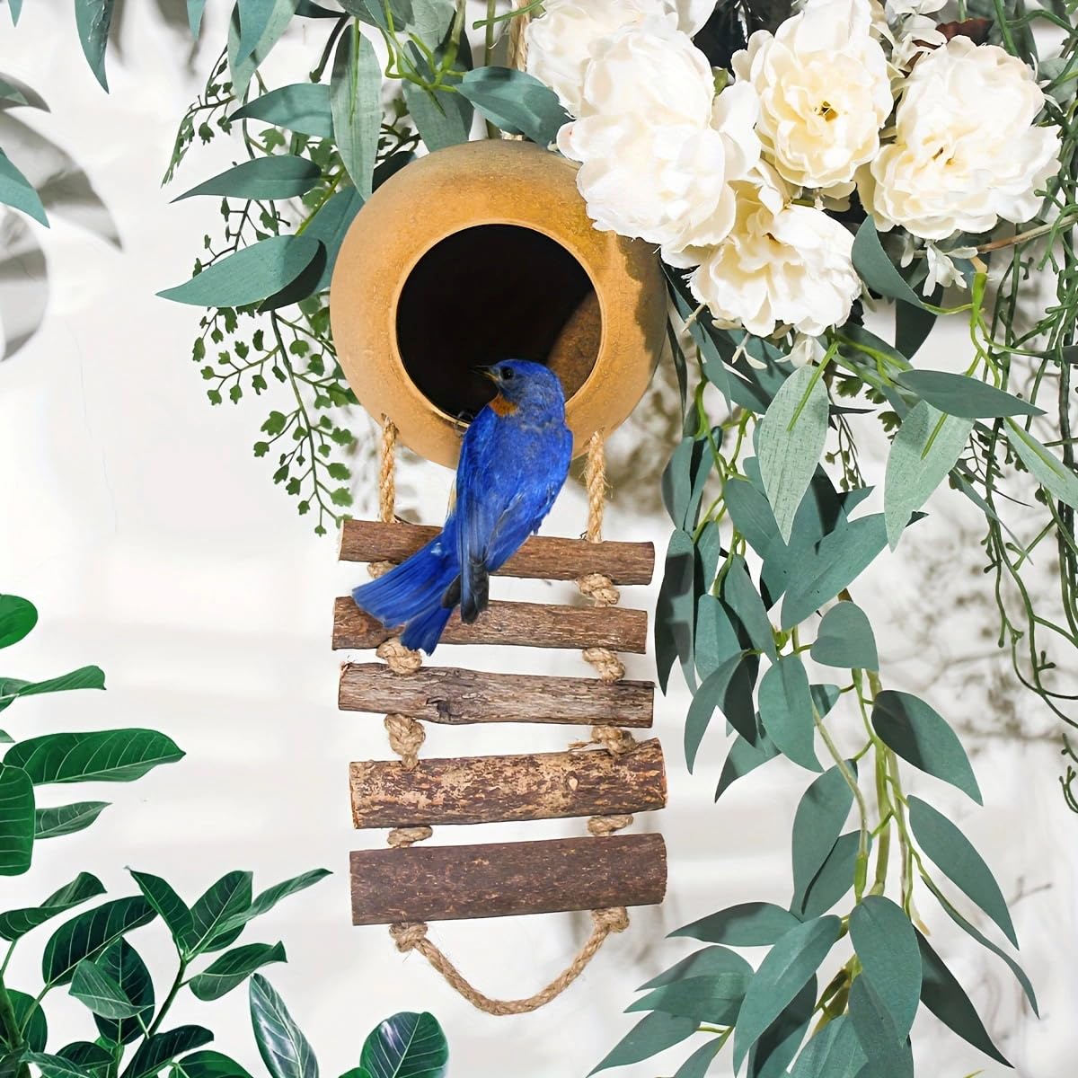 Coconut Birdhouse with Ladder, Natural Hideaway Bird and Small Animal ...