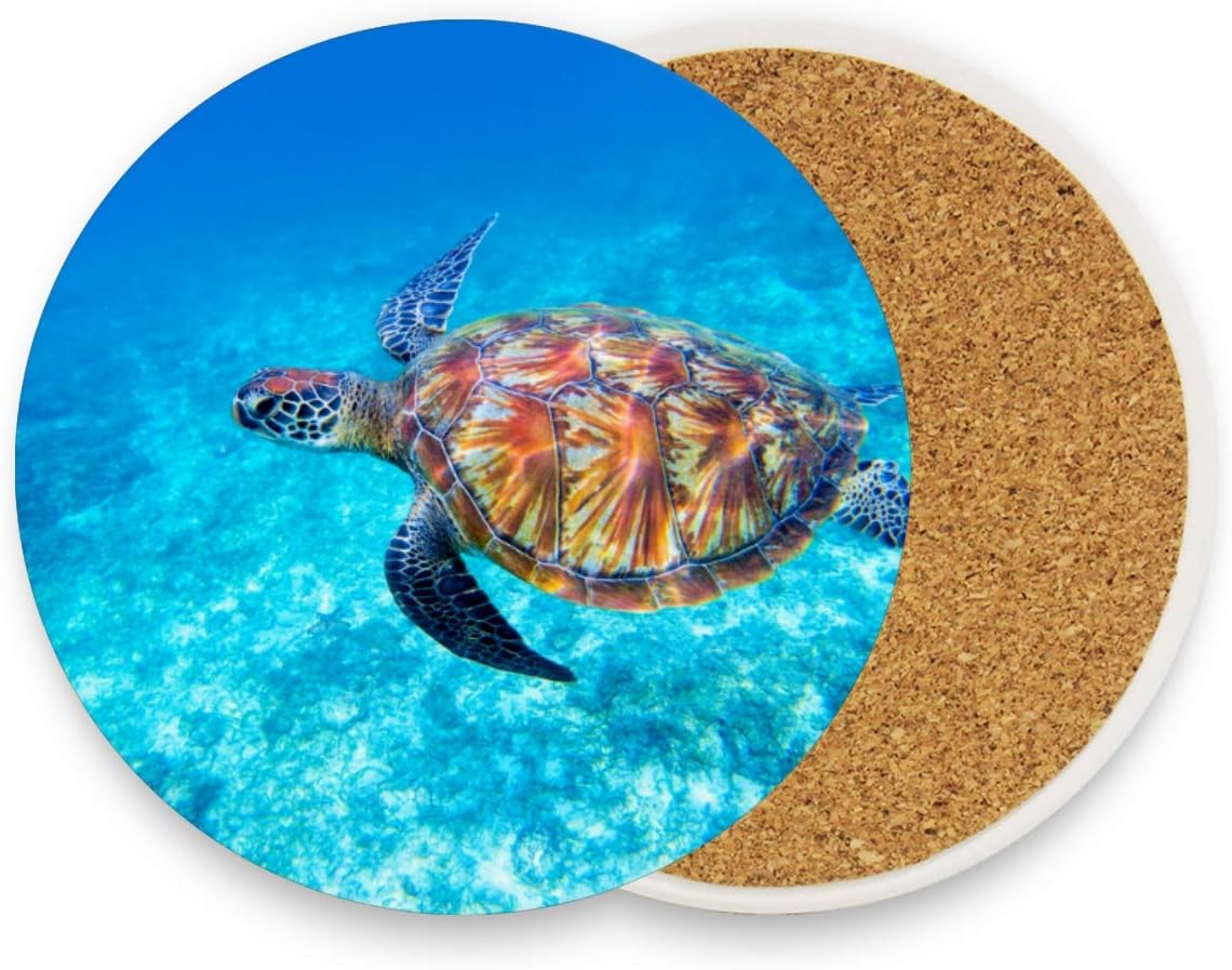 Amazon.com | Ocean Turtle Tortoise Drink Coasters, Ceramic Coasters Set ...