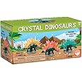 Amazon.com: MindWare Crystal Growing Kits: Dinosaurs Set of 3 – Cool ...
