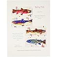 Amazon.com: Fiberworks Making Fish pattern : Arts, Crafts & Sewing