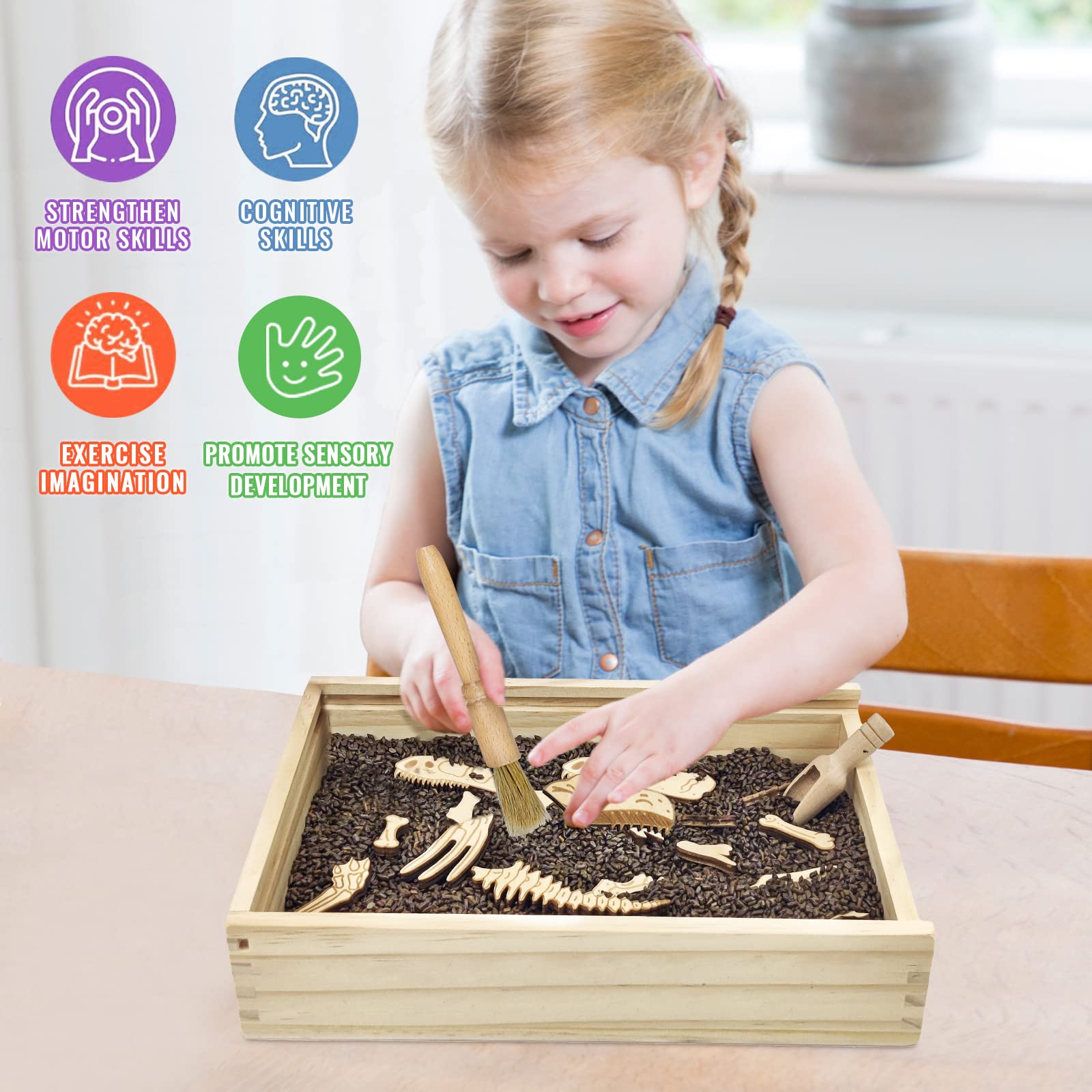 Mua Xylolin Dinosaur Excavation Archaeology Dig Kit for Kids, Fossil ...