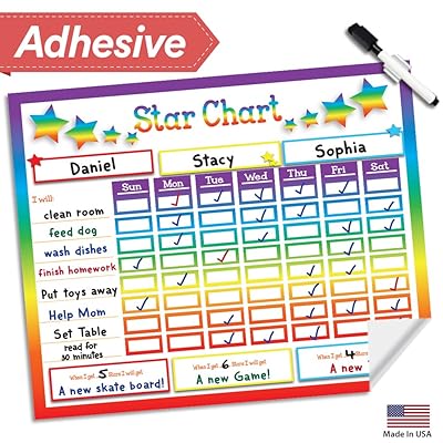 Dry Erase Reward Chore Chart - 16 x 13 - India | Ubuy
