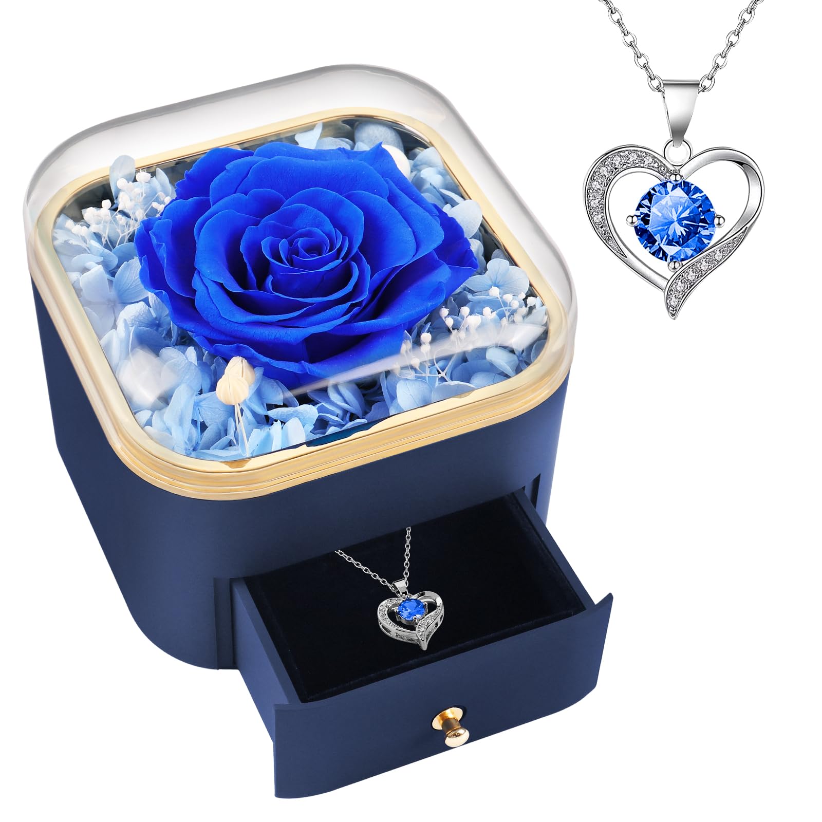 Beferr Mothers Day Rose Gifts for Mom Women Birthday Gifts Preserved ...