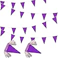 Amazon.com: LyButty 100 Feet Purple Pennant Banners Flags String ...
