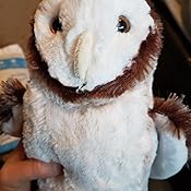 Amazon.com: Douglas Swoop Barn Owl Plush Stuffed Animal: Toys & Games
