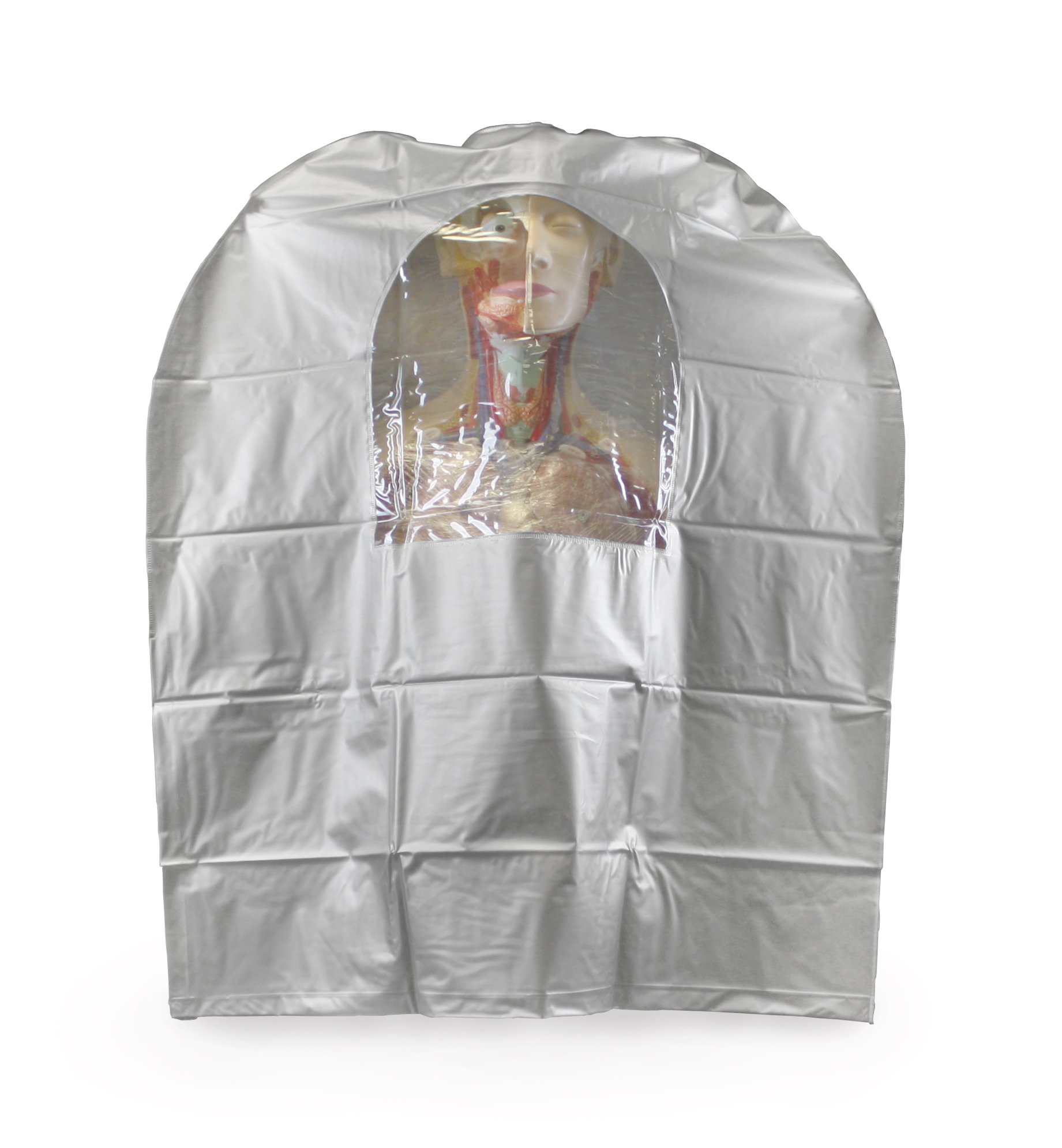 Mua Vision Scientific VAT107-DC 17 Parts Sexless Human Torso | Open ...