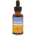 Amazon.com: Herb Pharm Certified Organic Spilanthes Liquid Extract for ...