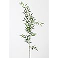 Amazon.com: Afloral Fake Plants Italian Ruscus Branch - 49" : Home ...